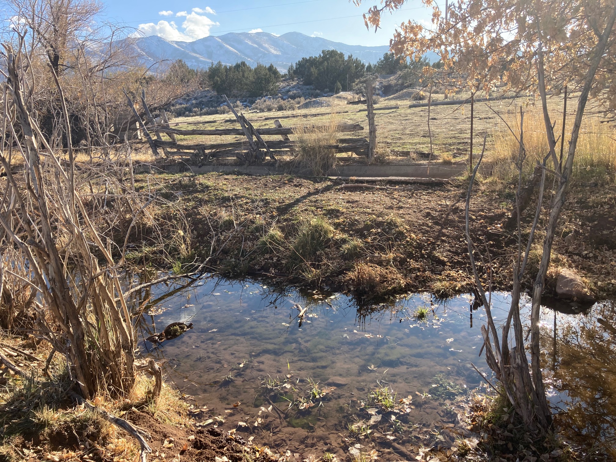 Turkey Track Ranch - Diverse Productive Property - SurvivalRealty.com