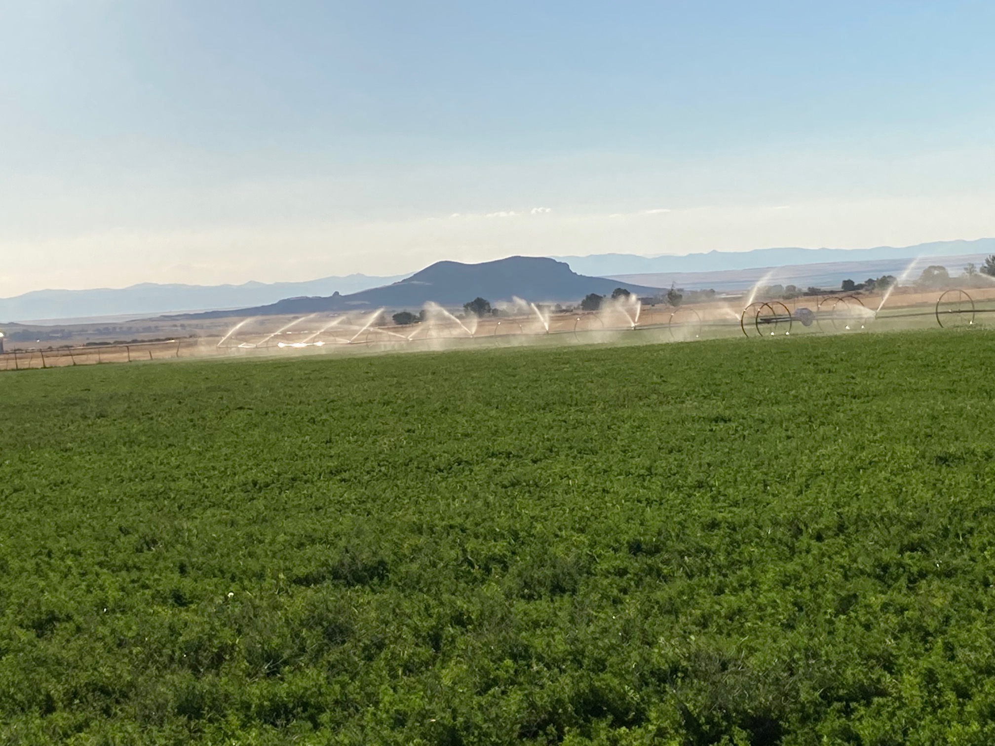 Turkey Track Ranch - Diverse Productive Property - SurvivalRealty.com