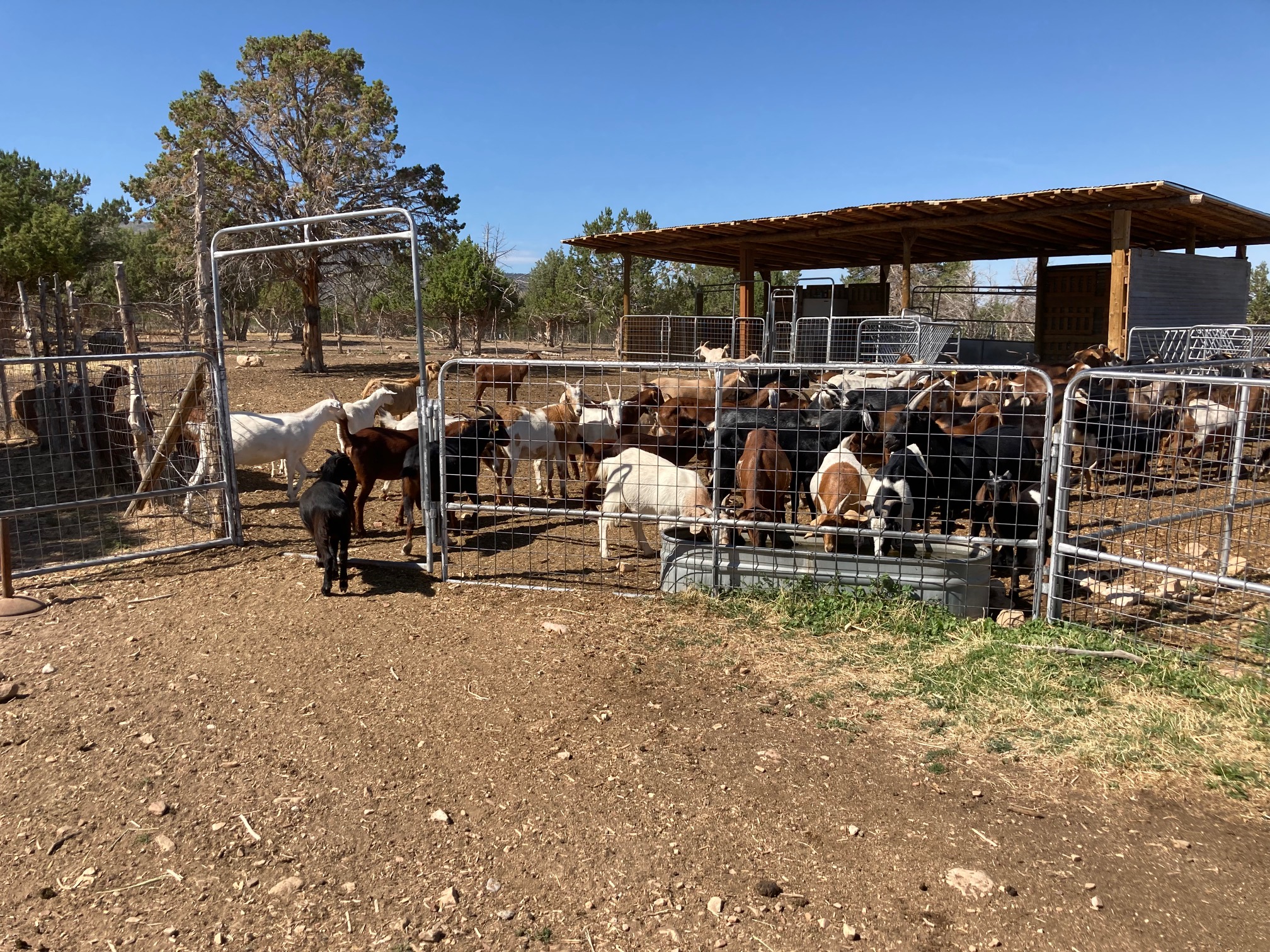 Turkey Track Ranch - Diverse Productive Property - SurvivalRealty.com