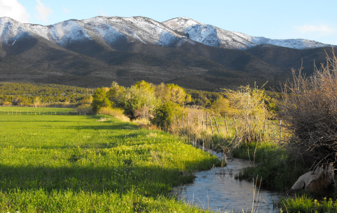 Turkey Track Ranch - Diverse Productive Property - SurvivalRealty.com