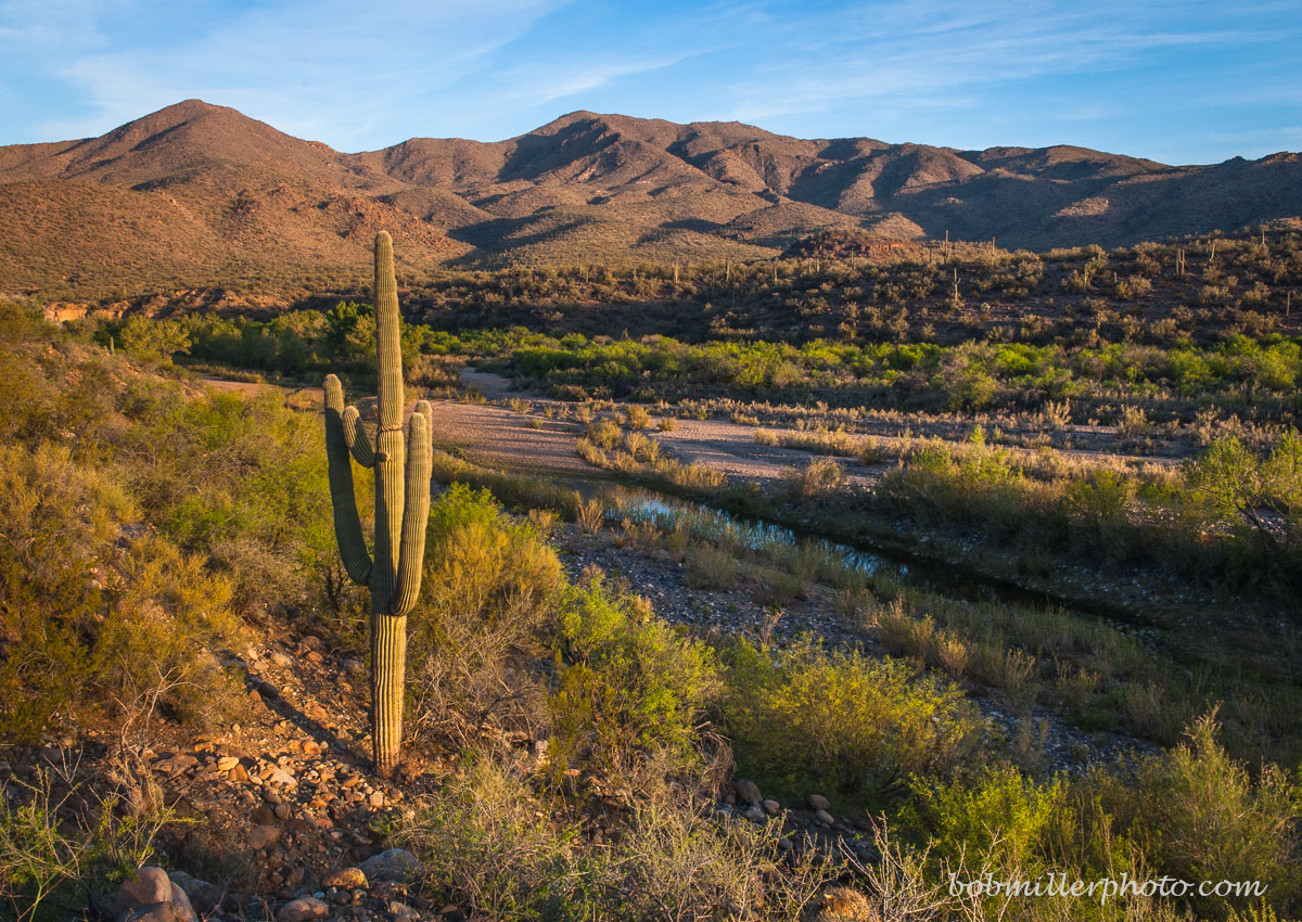 Giddy-Up Ranch - SurvivalRealty.com