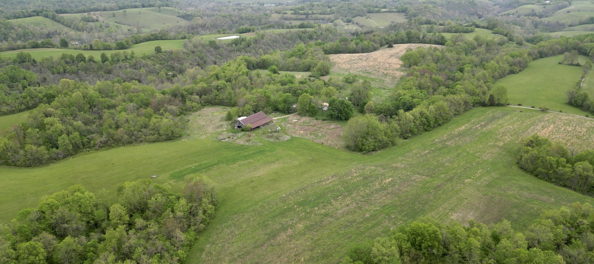 224 Acre Farm in Kentucky - SurvivalRealty.com