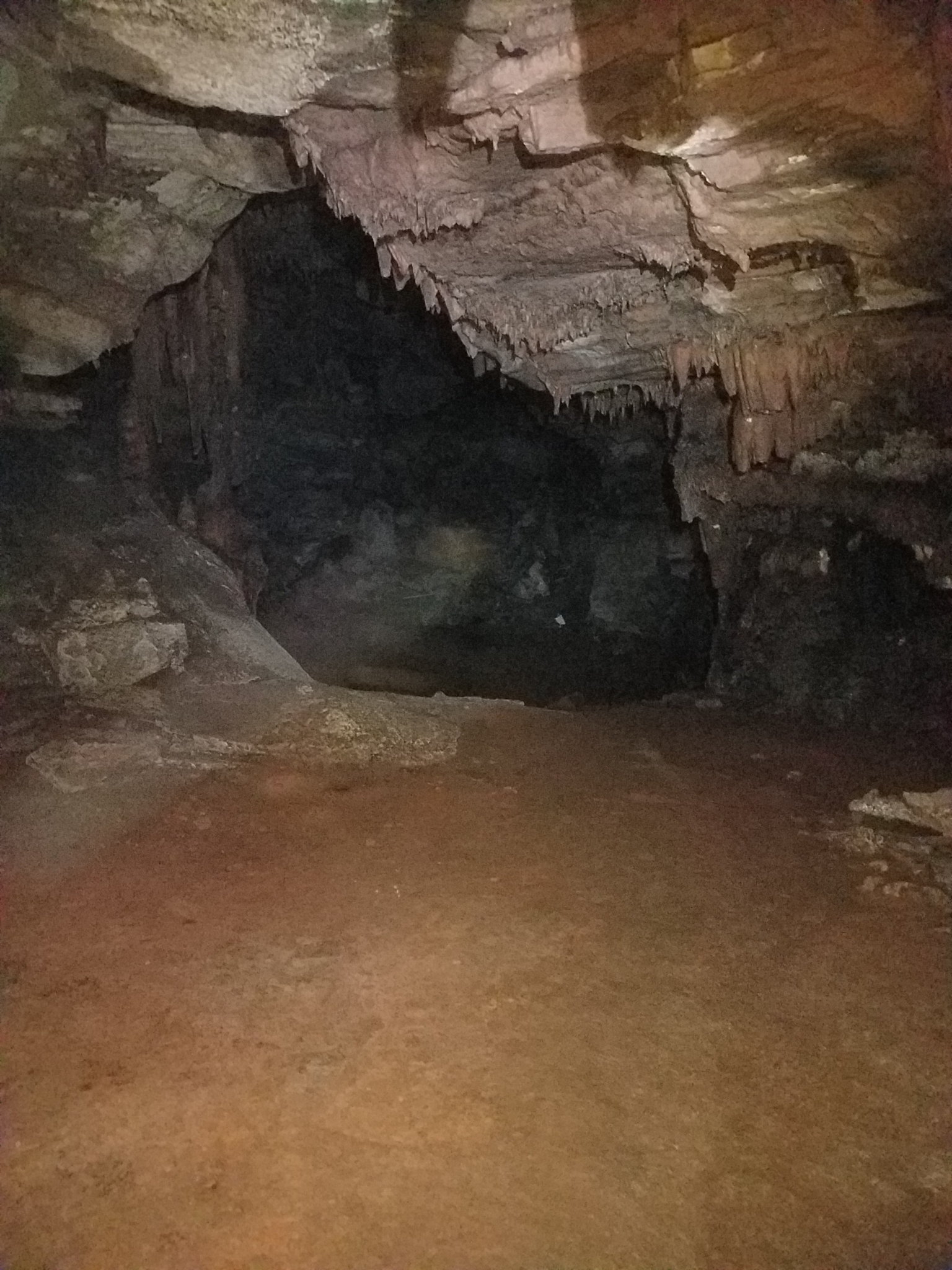 20,000 Square Foot Limestone Cave - SurvivalRealty.com