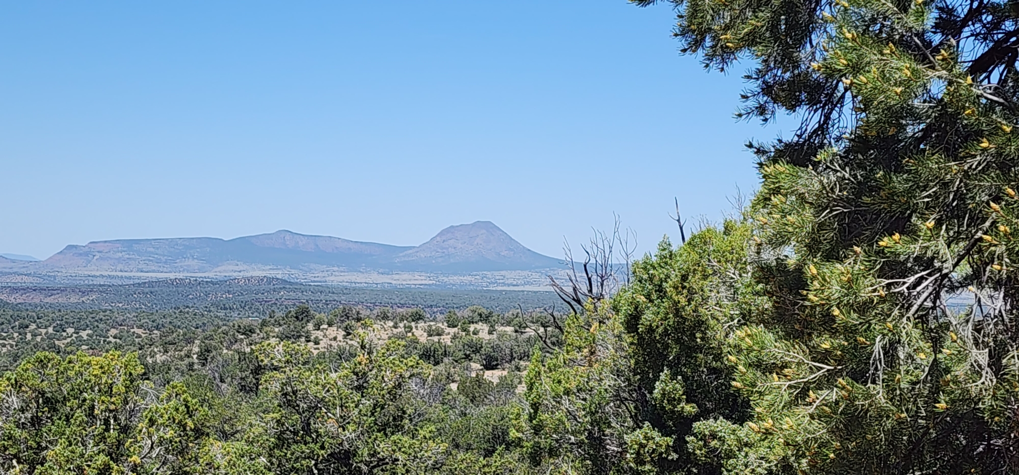 Mountainside Homestead Compound - SurvivalRealty.com