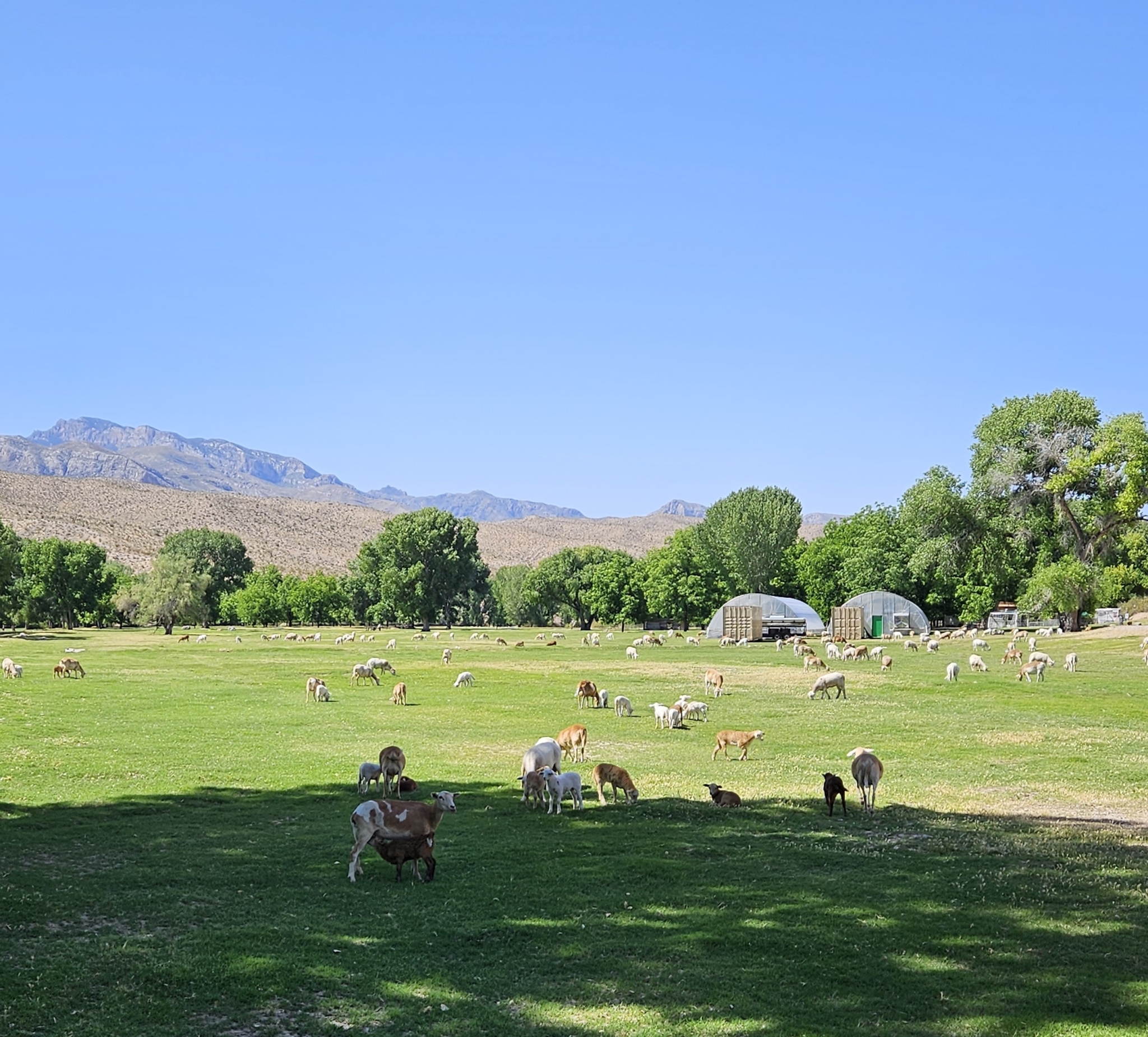 Weber Ranch - SurvivalRealty.com