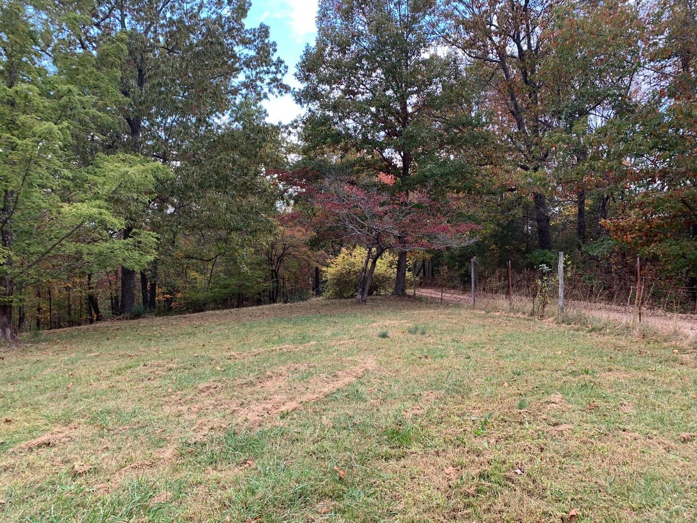 15 Acre Homestead Above the Buffalo River - SurvivalRealty.com