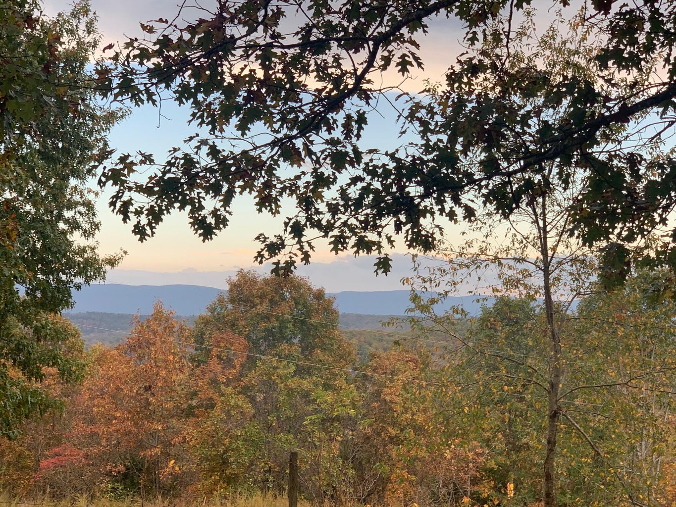 15 Acre Homestead Above the Buffalo River - SurvivalRealty.com