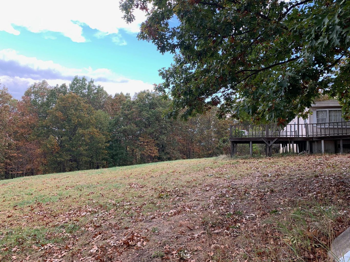 15 Acre Homestead Above the Buffalo River - SurvivalRealty.com