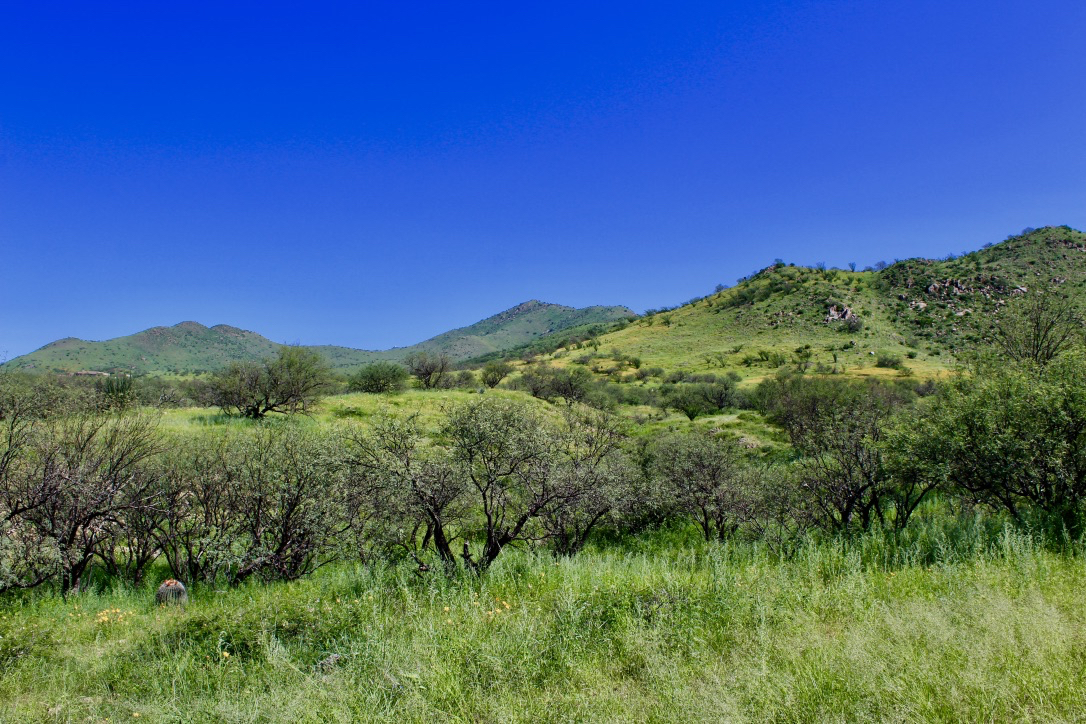 Ultimate Remote 37.7 Acre Build-Ready Retreat with Well, Power & Septic ...