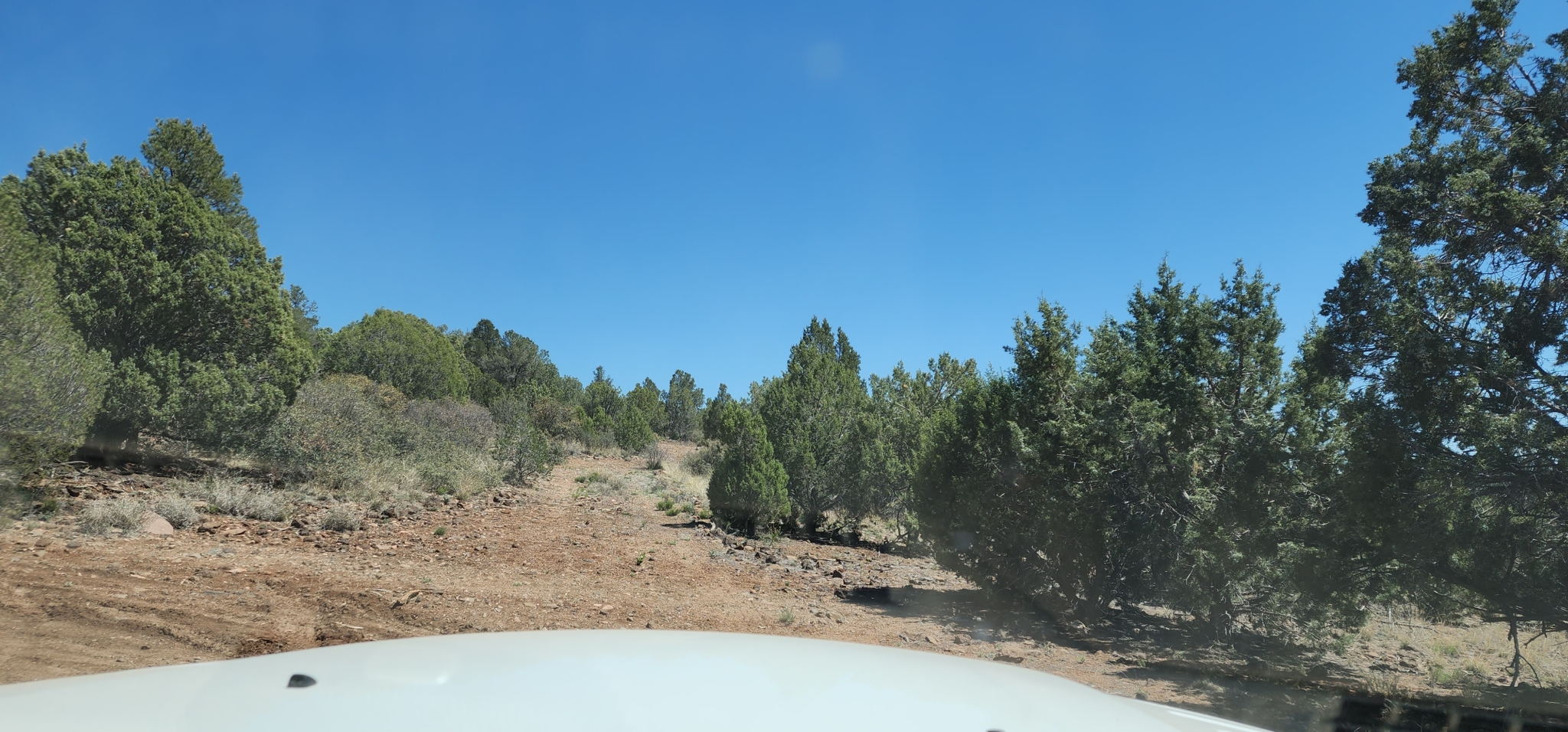 Totally Sustainable Off-Grid Compound - SurvivalRealty.com