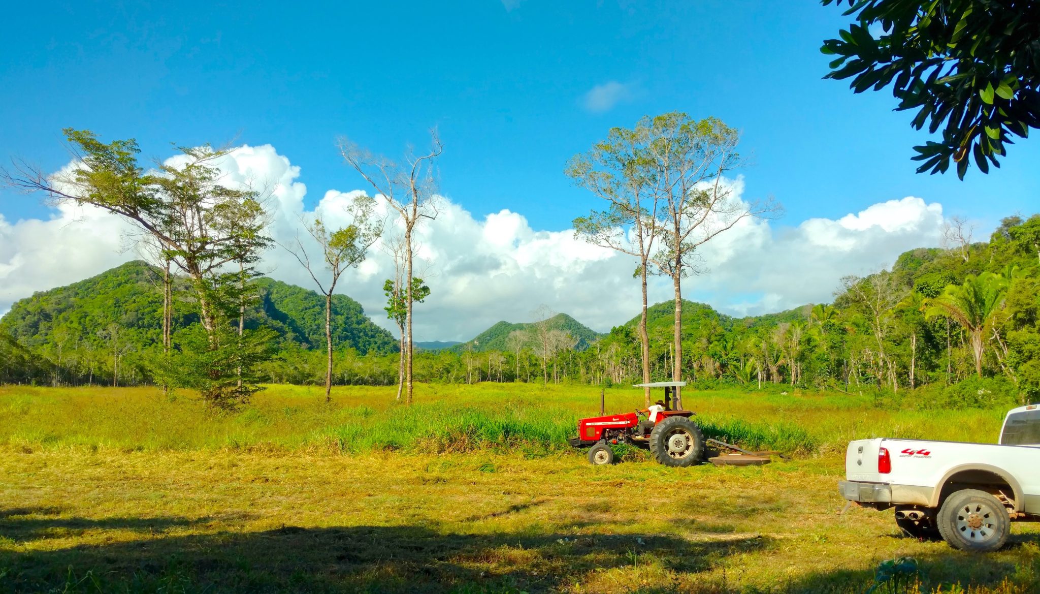 65 Acre Farmland/Homestead in Belize - SurvivalRealty.com