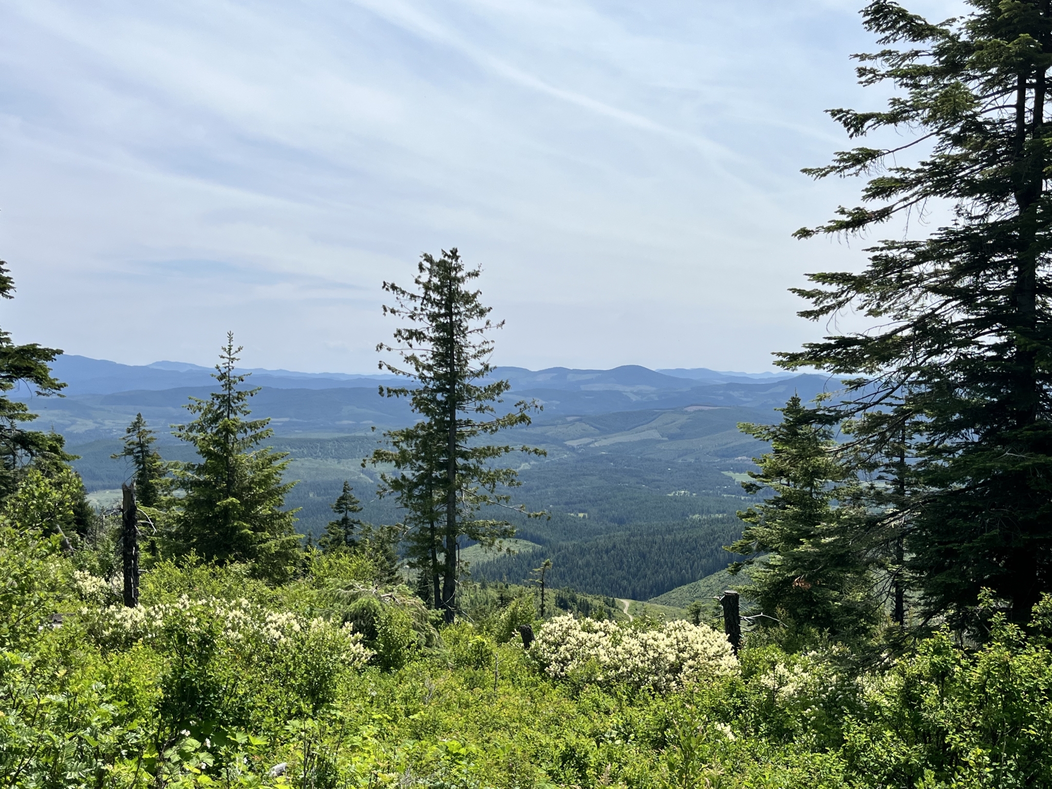 Rural, Sustainable, Off-grid Property and Agents - SurvivalRealty.com