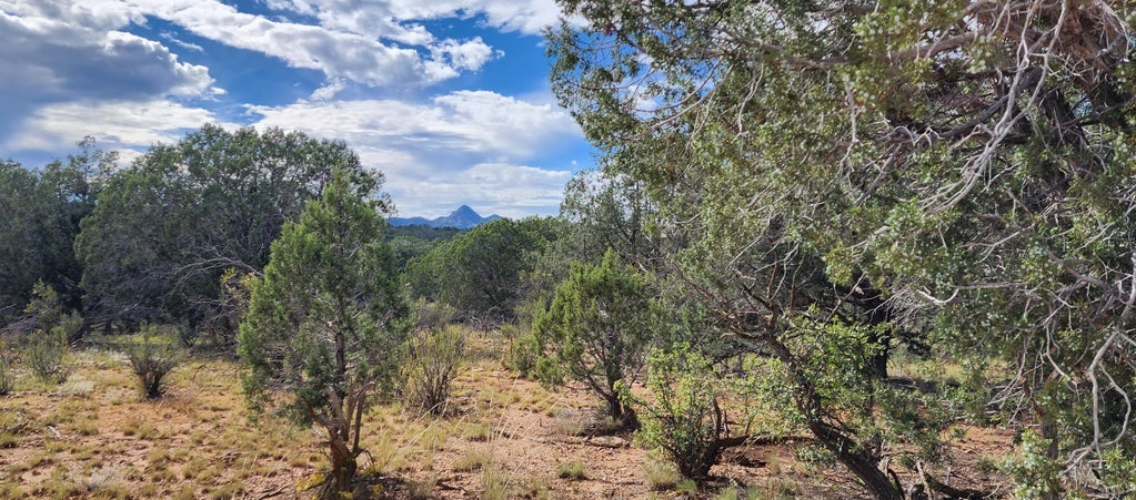 640 Acres of State Land to the North - SurvivalRealty.com