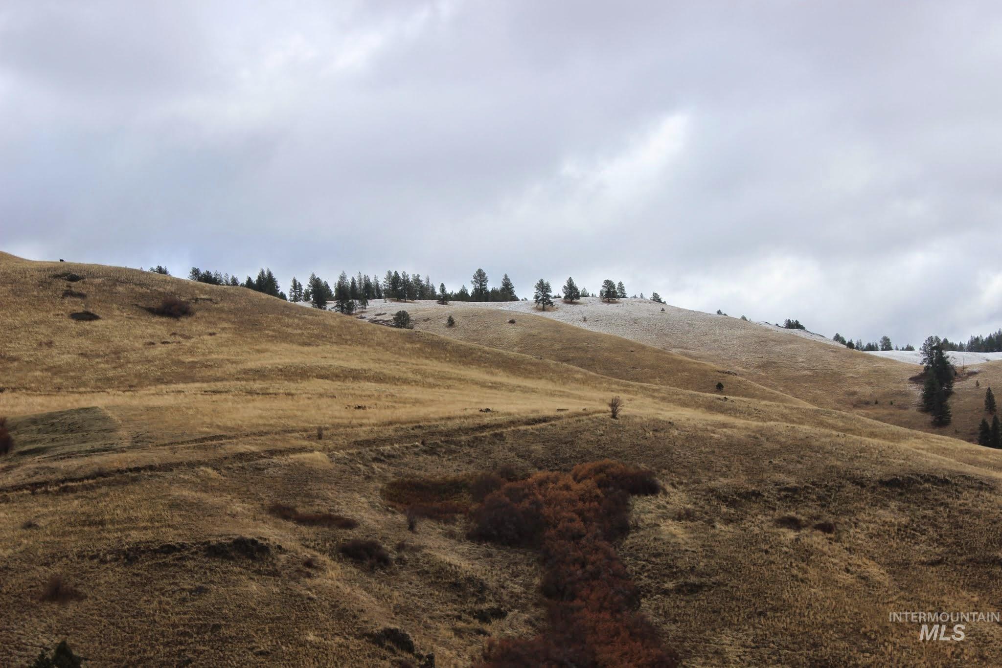Fully Equipped Hunting Cabin on 160 Acres Surrounded by BLM ...