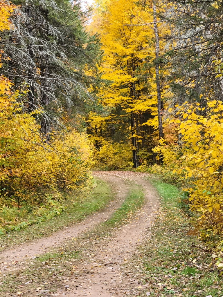 Your dream homestead is in Northern Wisconsin - SurvivalRealty.com