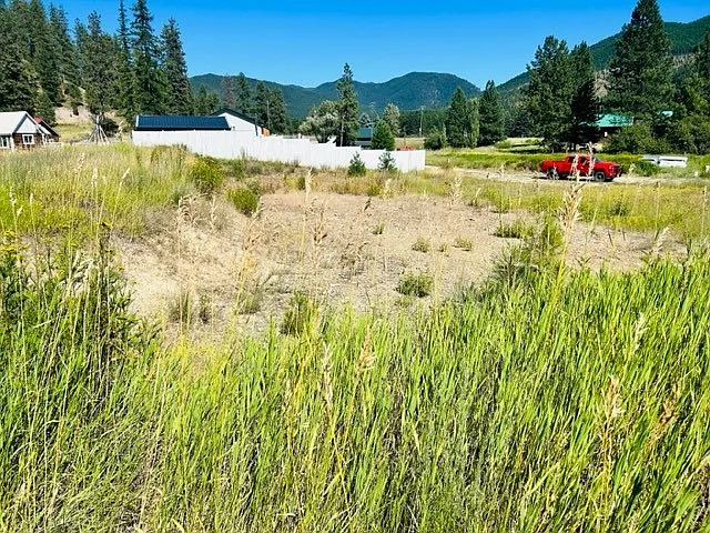 Rural and Remote Land for Sale - SurvivalRealty.com