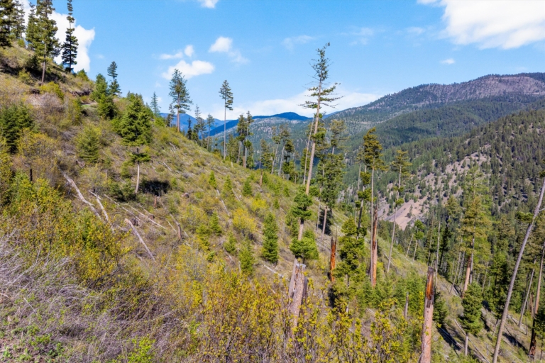 Rural and Remote Land for Sale - SurvivalRealty.com
